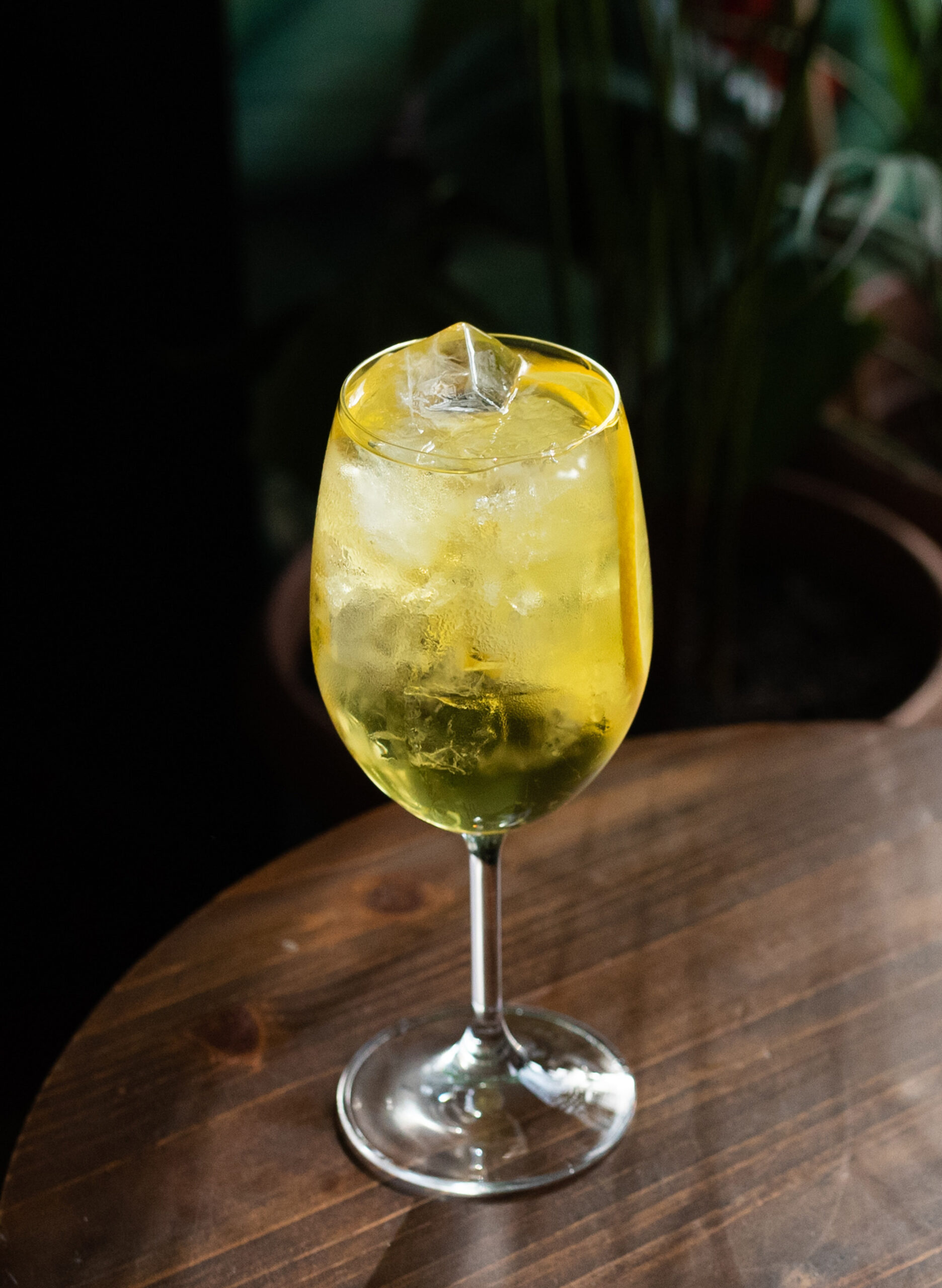 Ginger Splash – Our New Homemade Drink - Catador Itinerante